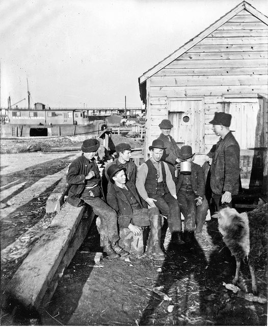 The Legacy of Jacob Riis